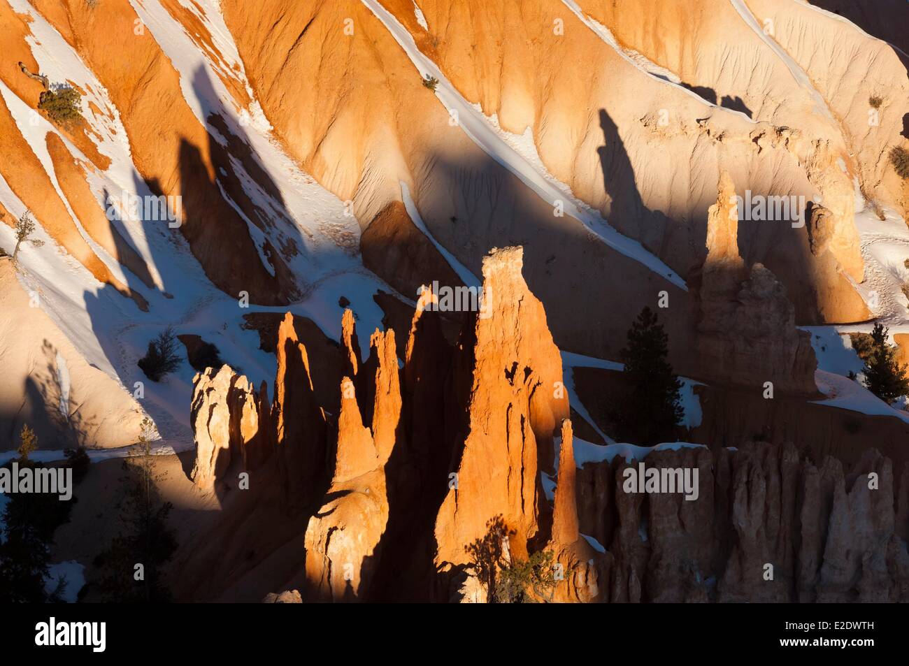 United States Utah Colorado Plateau Bryce Canyon National Park Stock ...