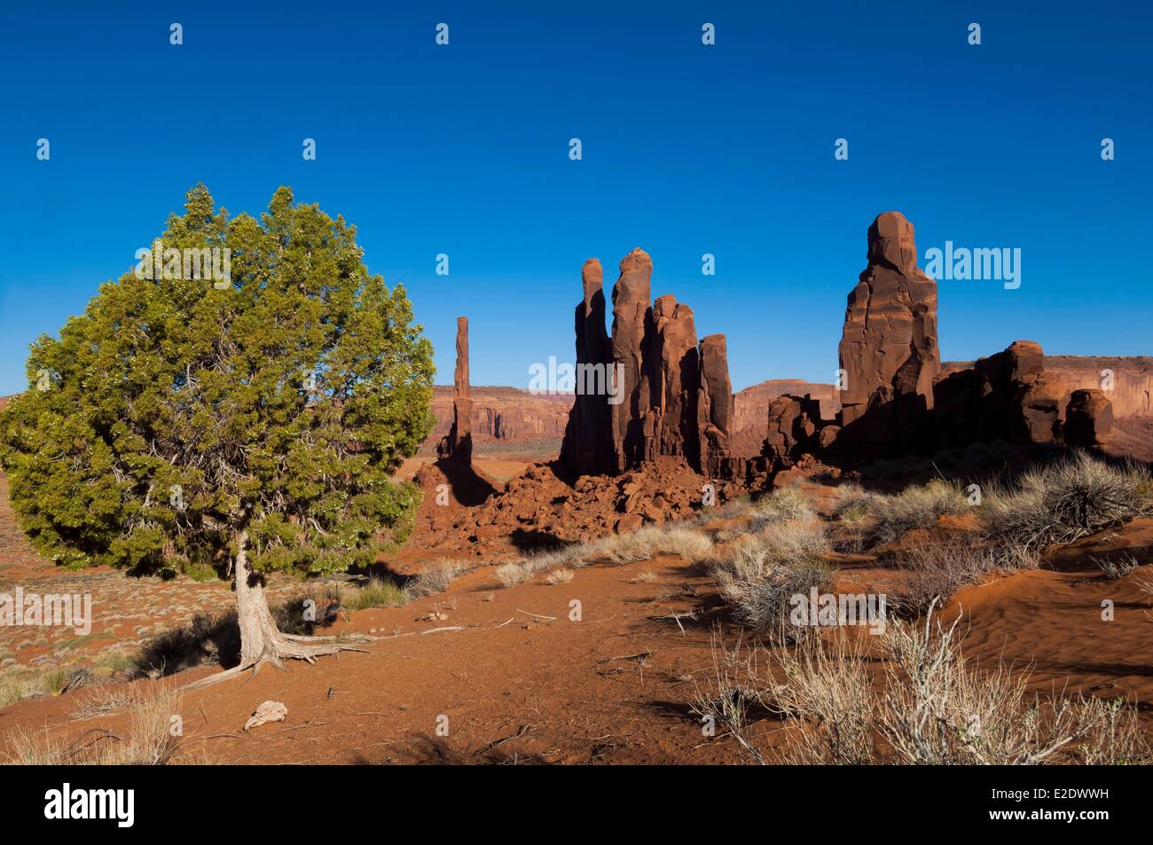 United States Arizona Navajo Nation Indian Reservation Monument Valley ...