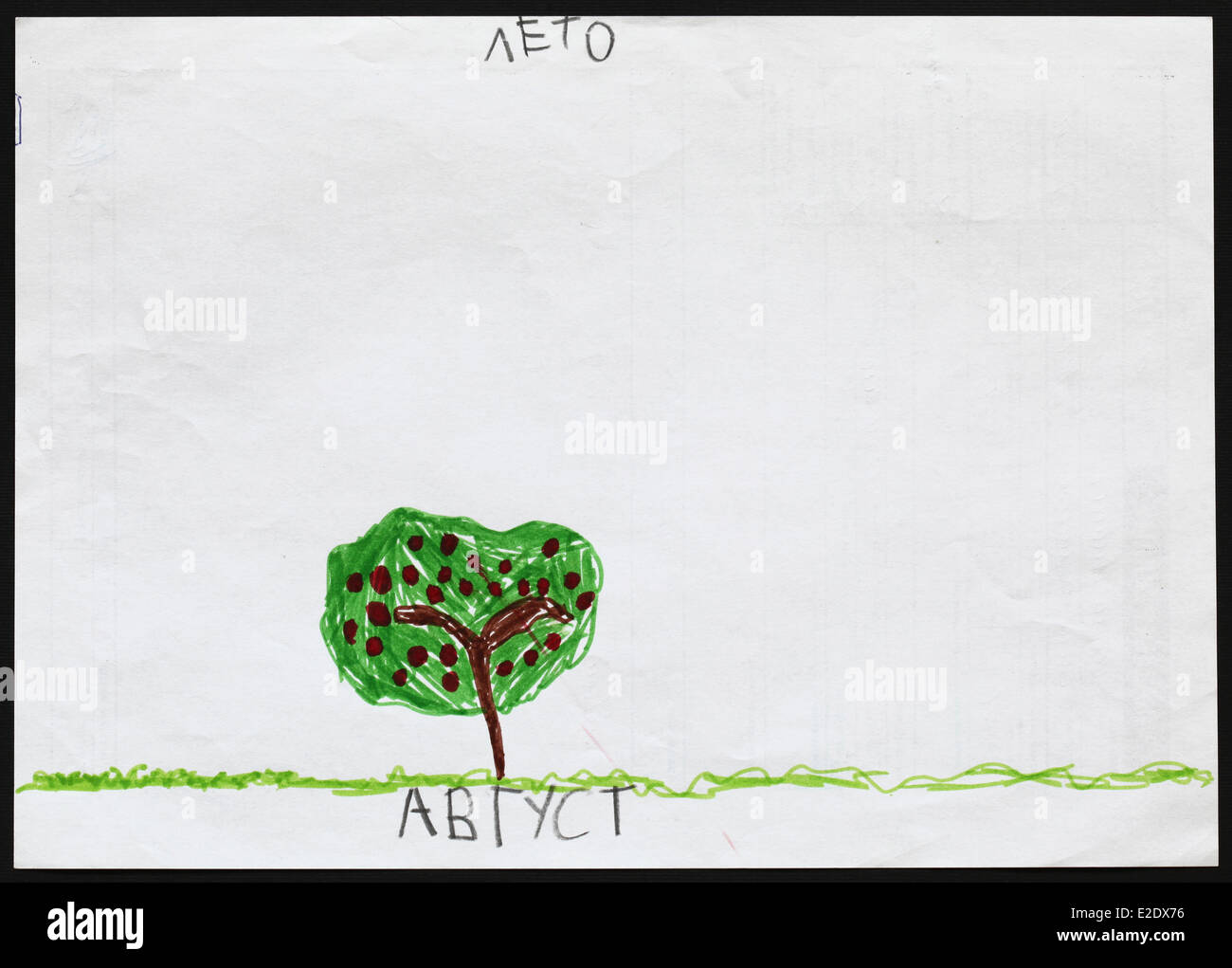 August. Summer. The Twelve Months. Original child's drawing of a tree ...