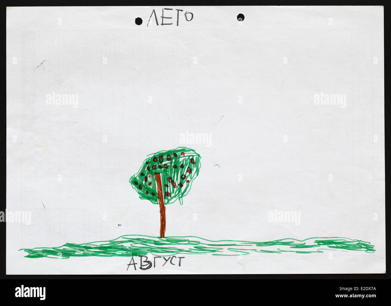 August. Summer. The Twelve Months. Original child's drawing of a tree ...