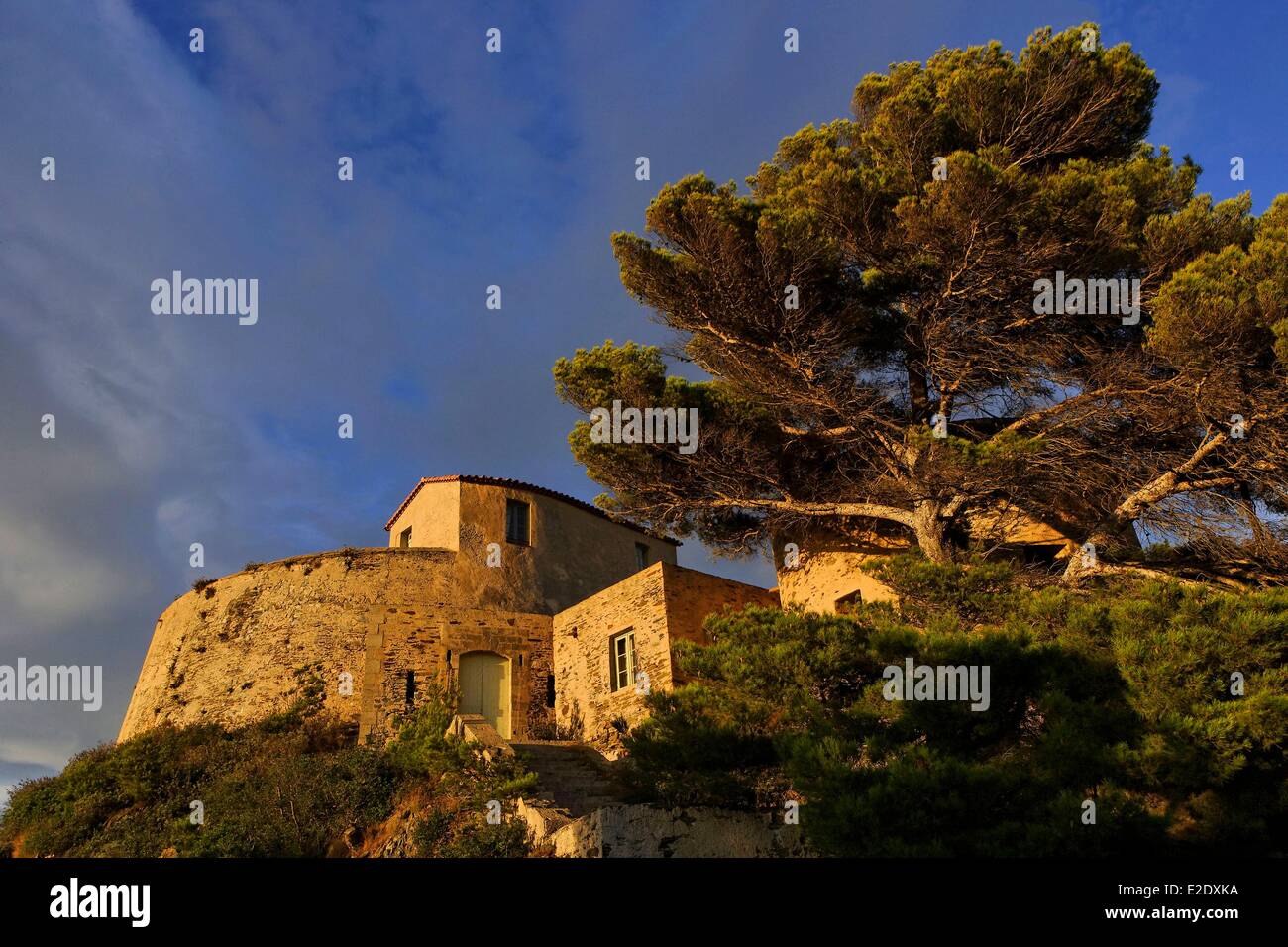 France, Var, Iles d'Hyeres, Parc National de Port Cros (National park ...