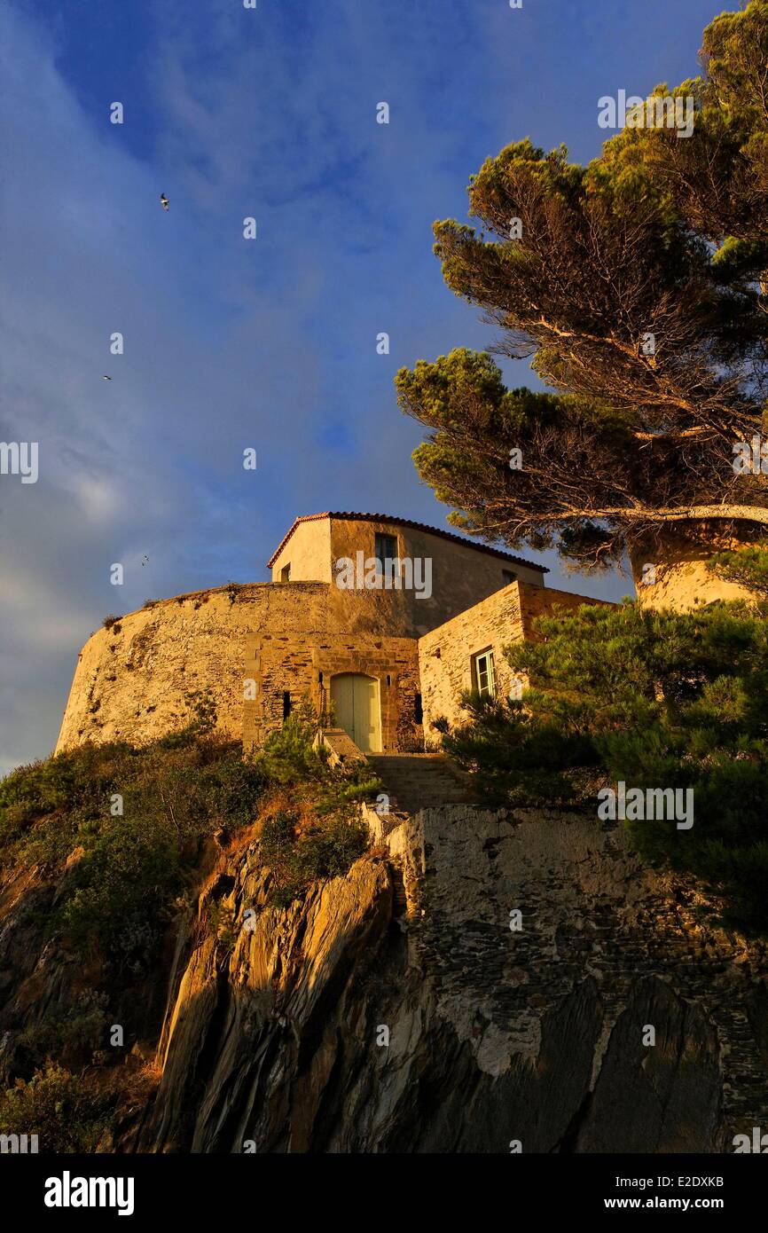 France, Var, Iles d'Hyeres, Parc National de Port Cros (National park ...