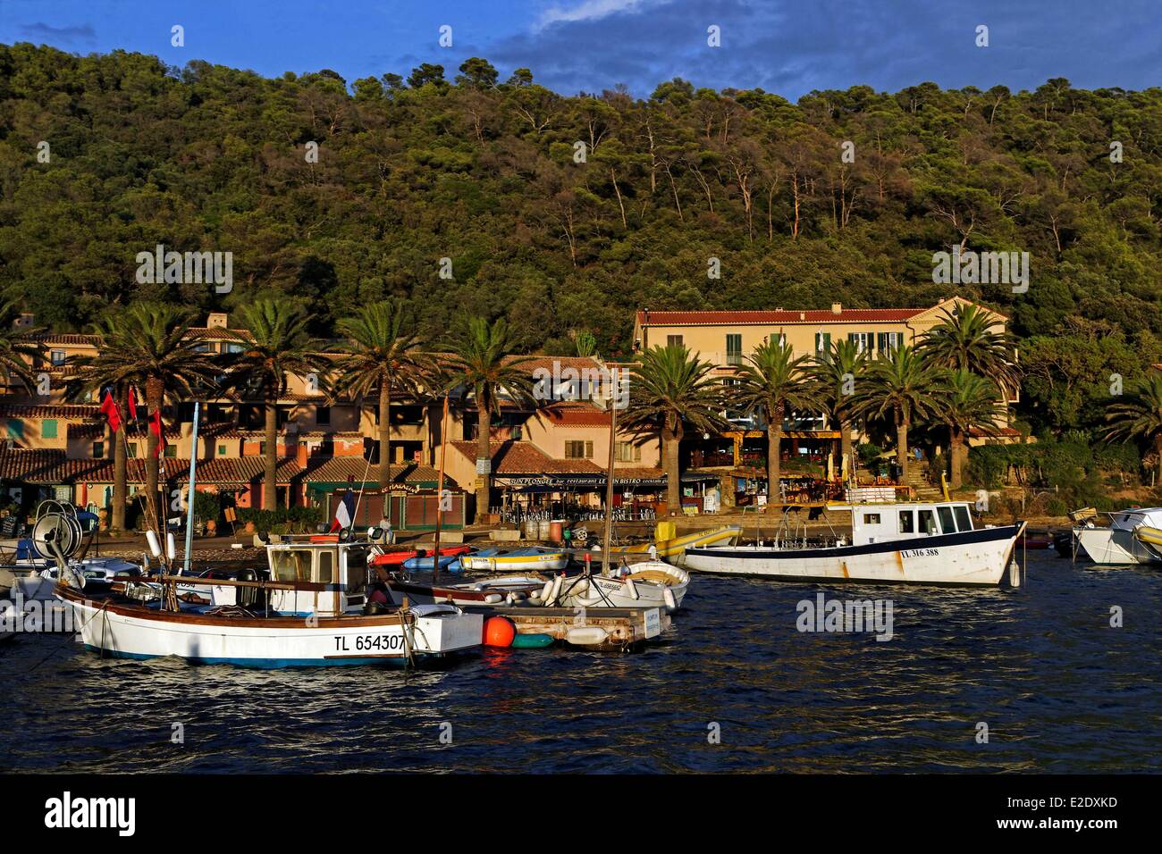 France, Var, Iles d'Hyeres, Parc National de Port Cros (National park ...