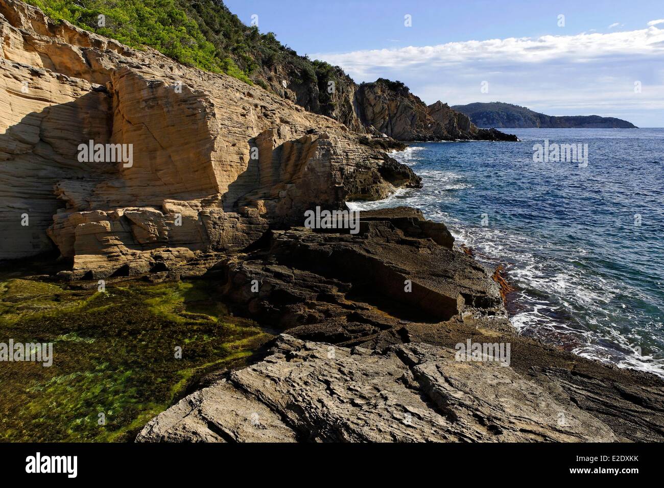 France, Var, Iles d'Hyeres, Parc National de Port Cros (National park ...