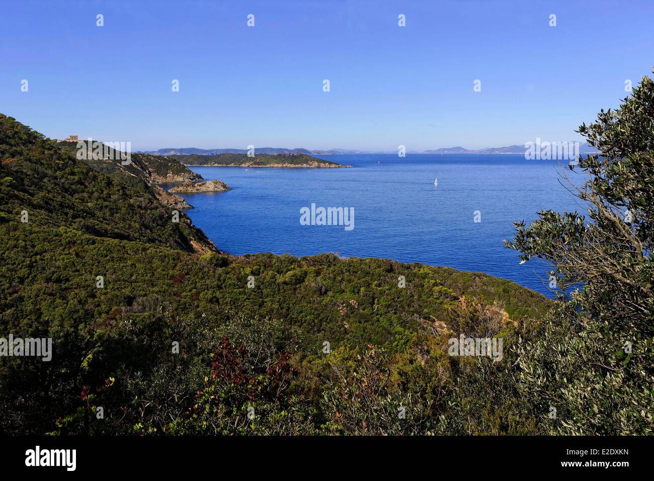 France, Var, Iles d'Hyeres, Parc National de Port Cros (National park ...