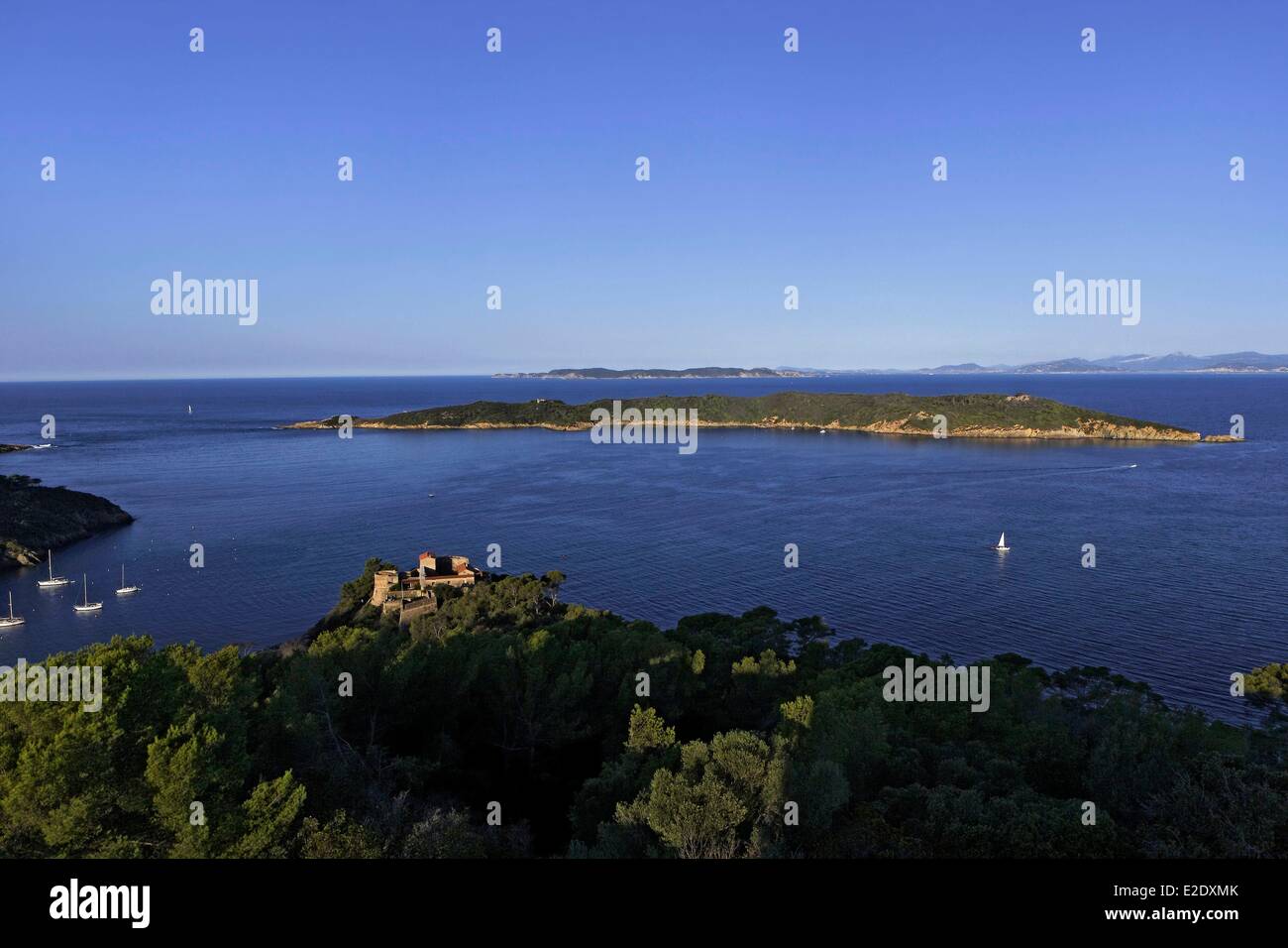 France, Var, Iles d'Hyeres, Parc National de Port Cros (National park ...