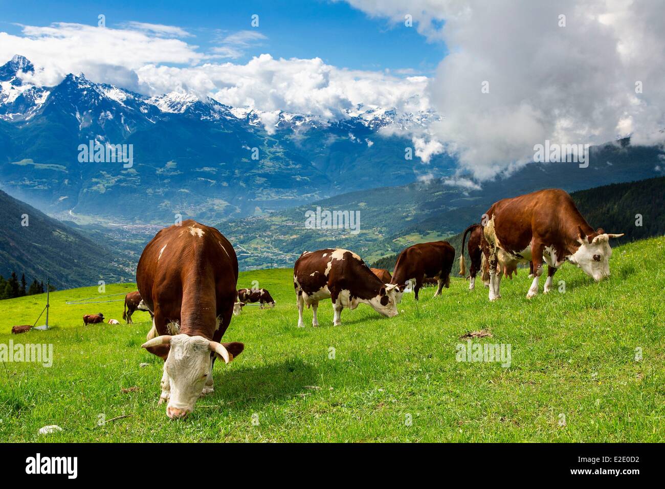 Italy Val d'Aoste Valpelline Valley Stock Photo - Alamy
