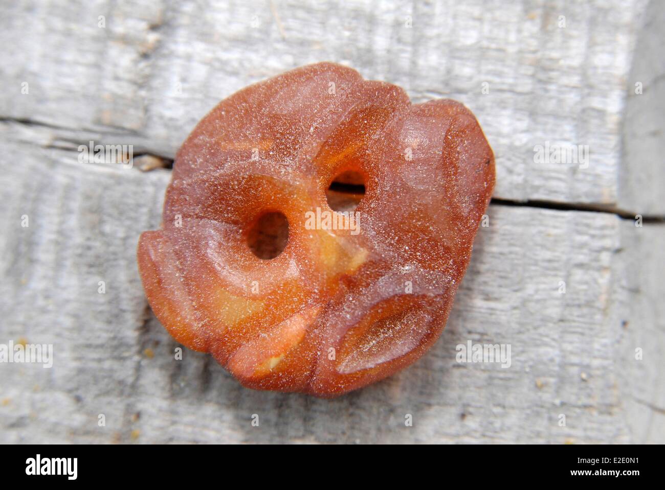 Lithuania County Neringa Nida museum gallery amber of Nida copy of an ...