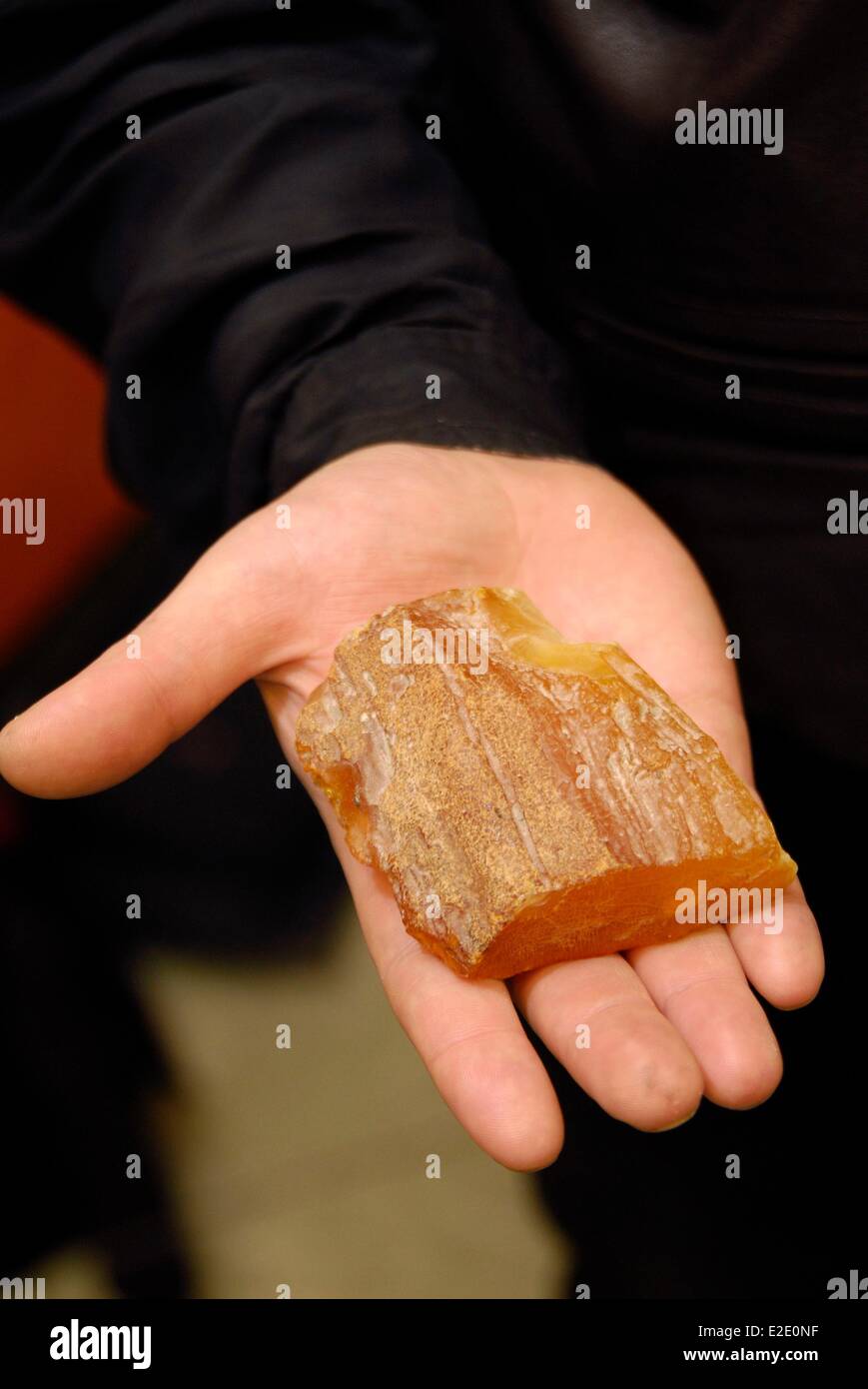 Algina hi-res stock photography and images - Alamy