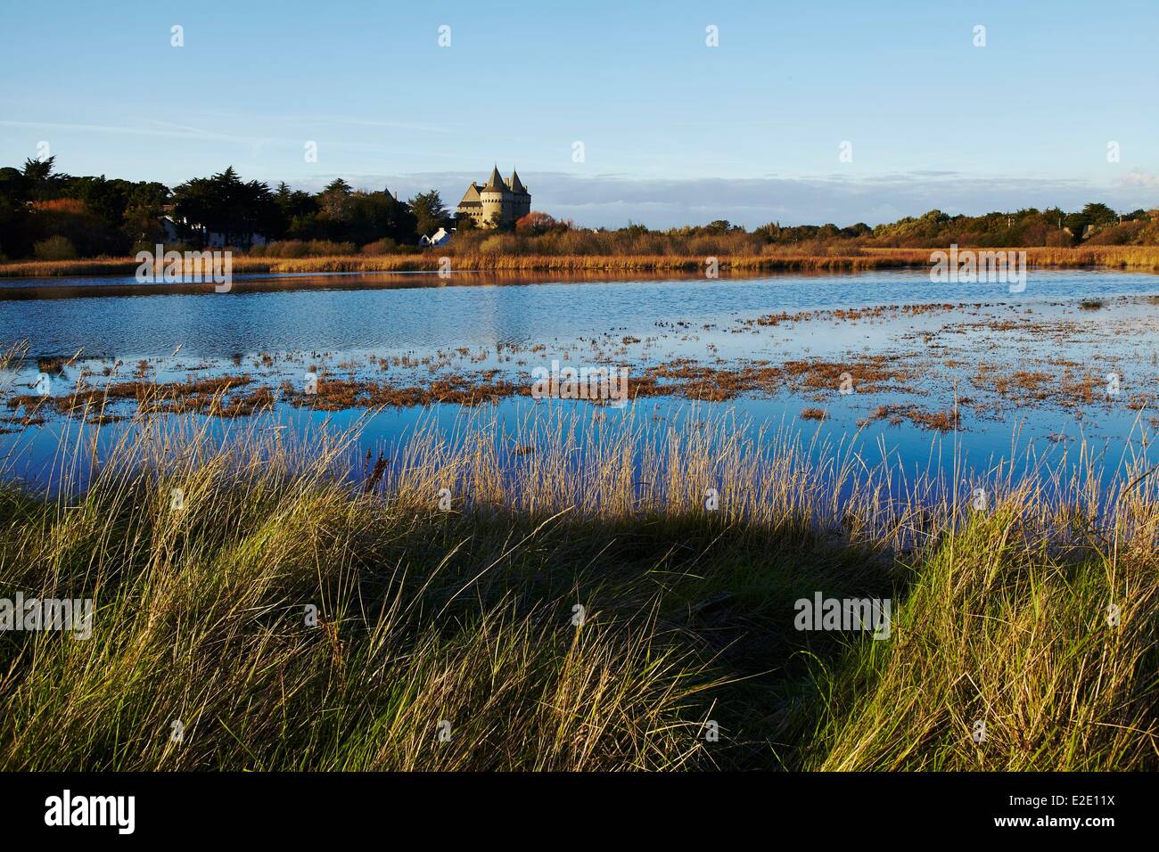 France Morbihan Presqu'ile de Rhuys Sarzeau swamp and chateau de ...