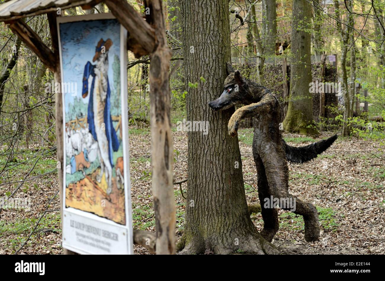 Wolf Behind Tree High Resolution Stock Photography and Images - Alamy