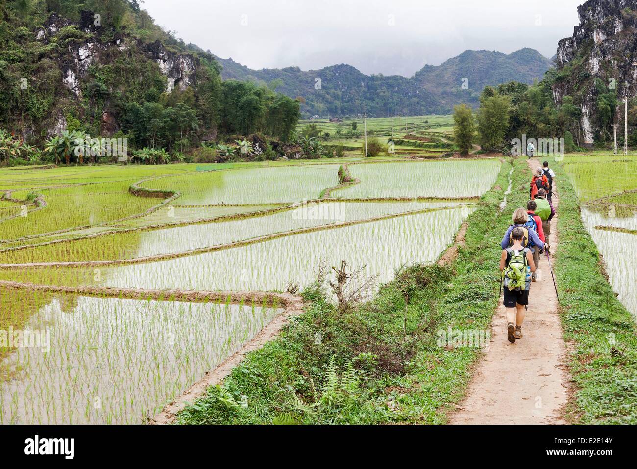 Mai Chau Field High Resolution Stock Photography and Images - Alamy