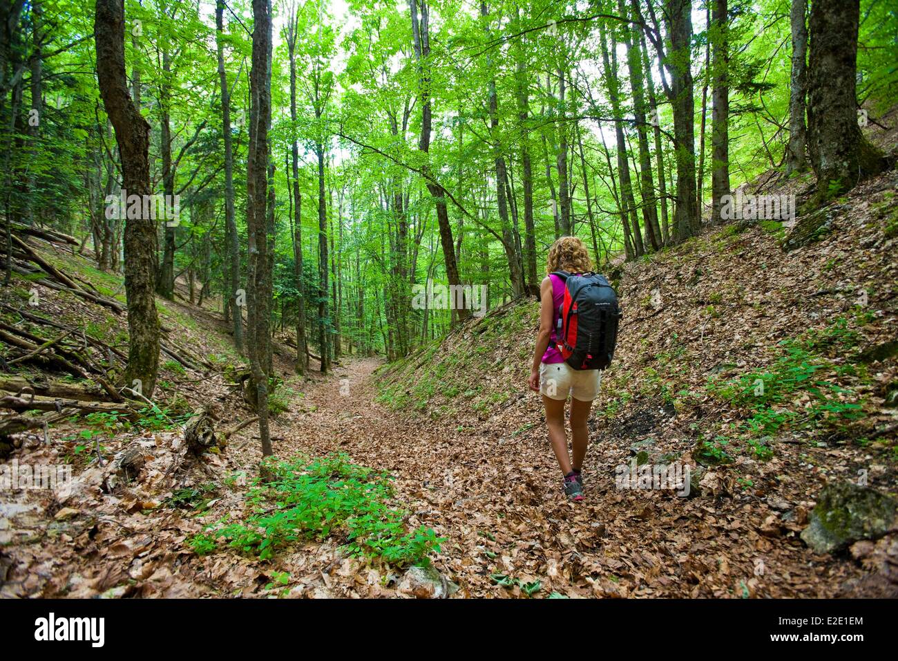 France Drome forest Saou (highest perched syncline in Europe) the path ...