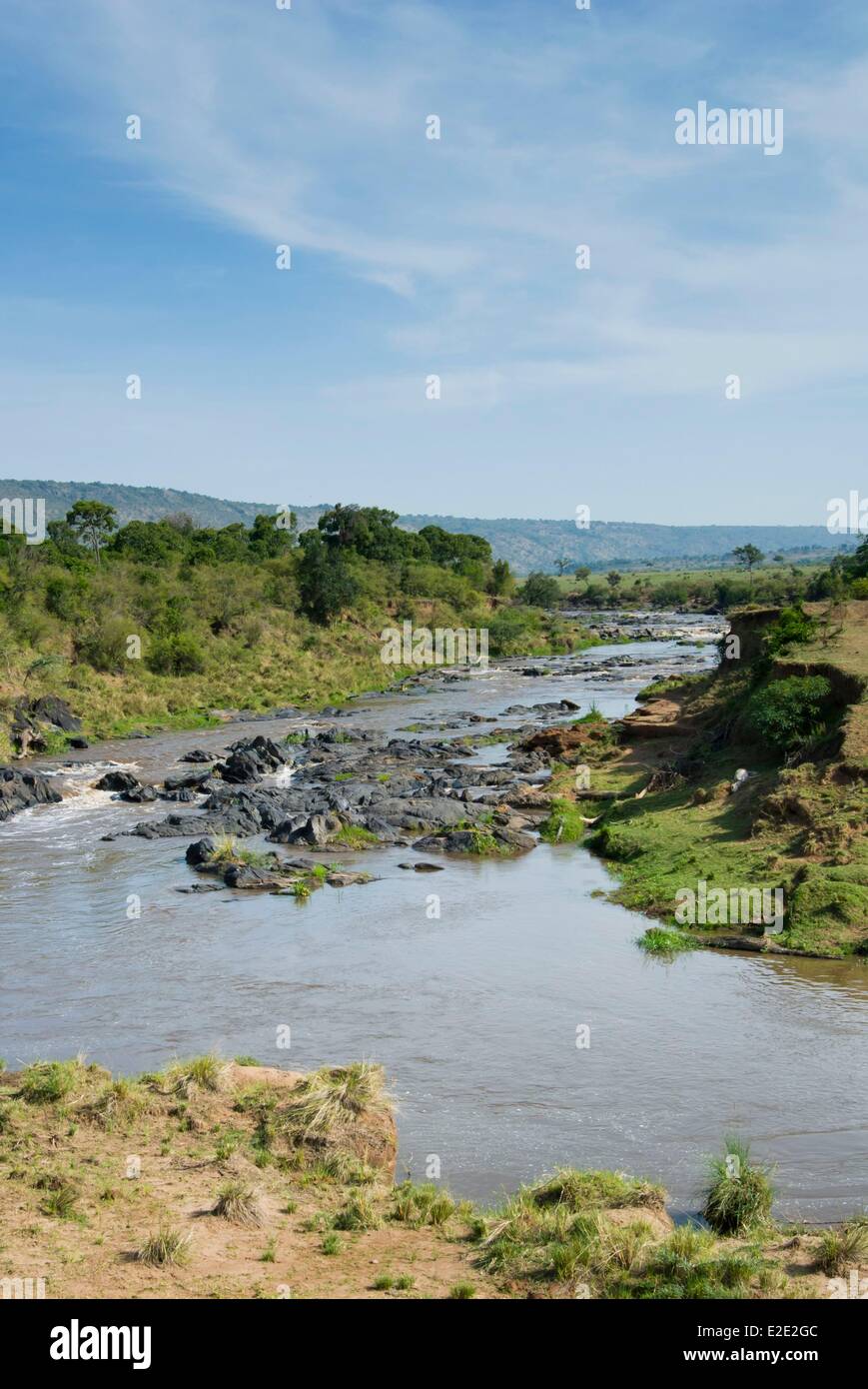 Kenya Masai Mara National Reserve river Mara Stock Photo - Alamy