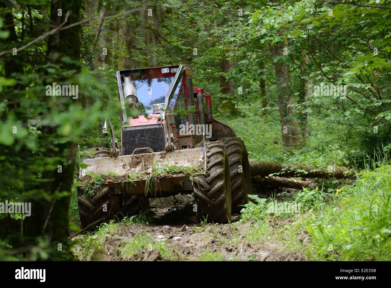 Skidding log hi-res stock photography and images - Alamy