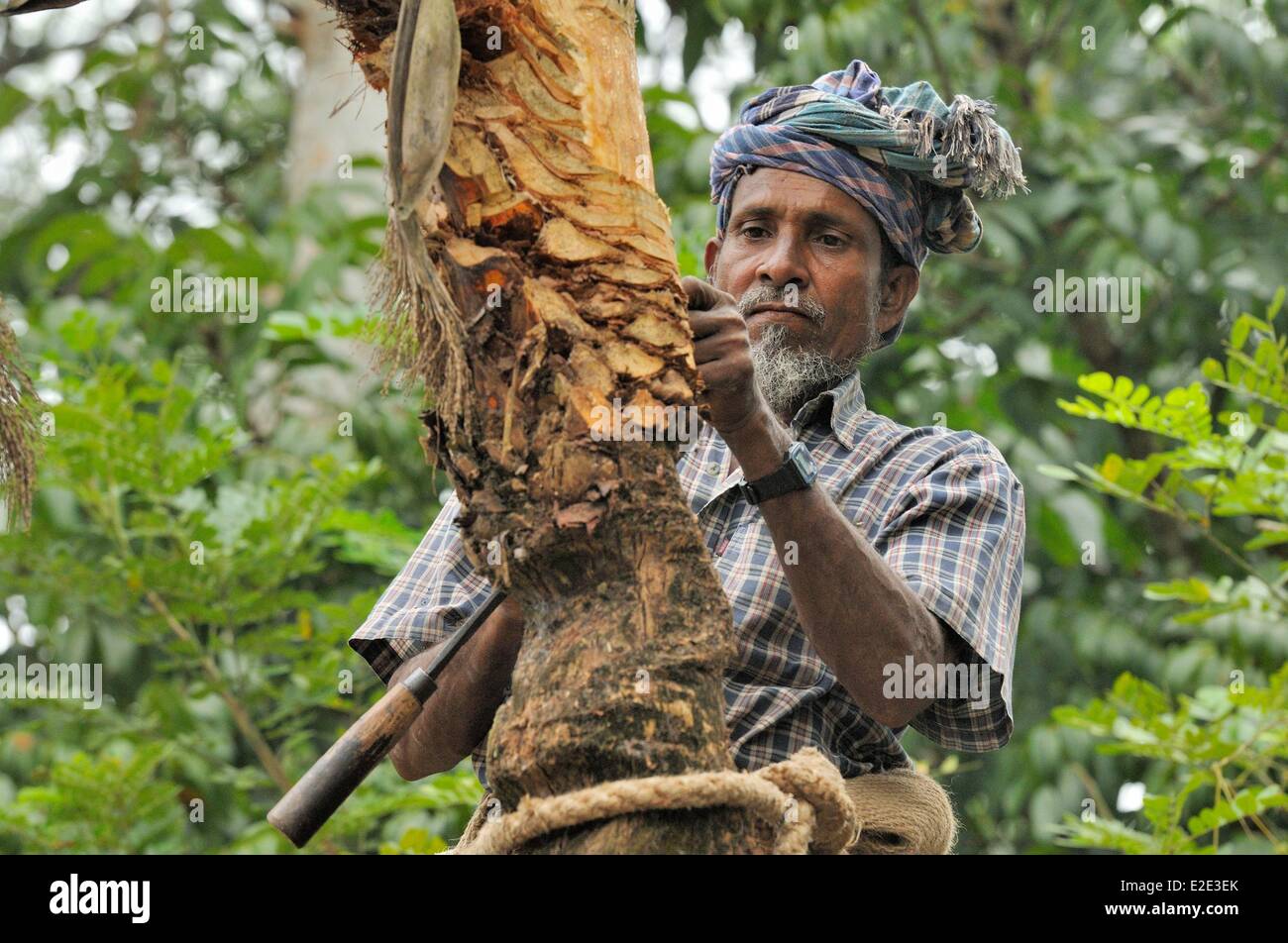 Bangladesh the Mosque City of Bagerhat listed as World Heritage by ...
