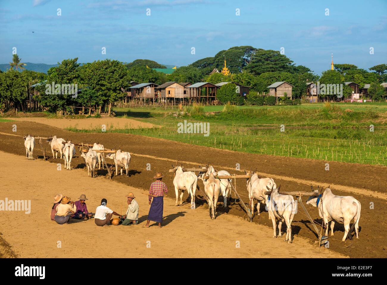 Myanmar (Burma) Mandalay division Mandalay Shan Lay village Stock Photo - Alamy