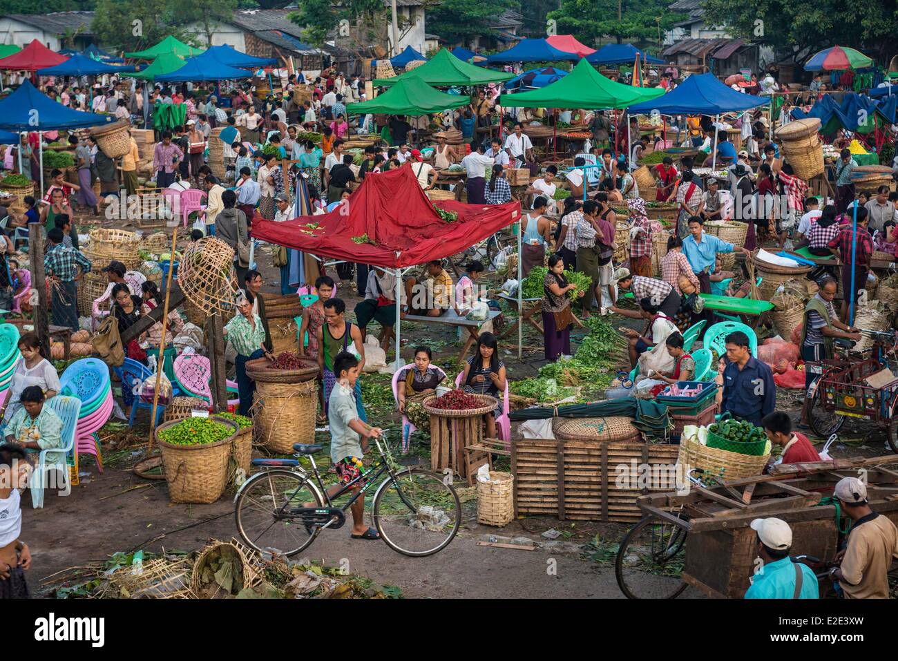 Myanmar (Burma) Yangon division Yangon Hlaing township Thirimingalar ...