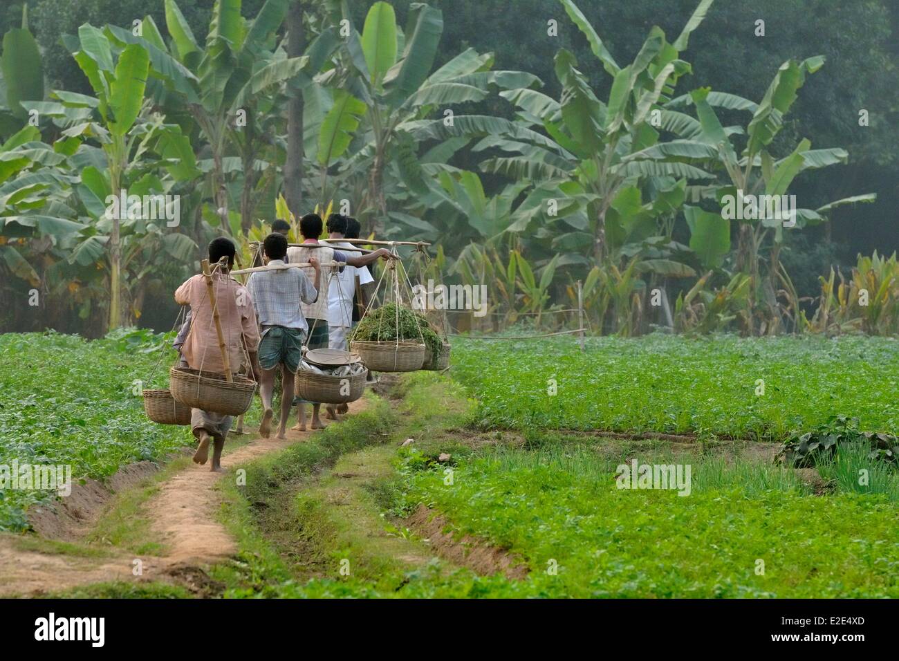 Bangladesh, Mahasthangarh is one of the earliest urban archaeological ...