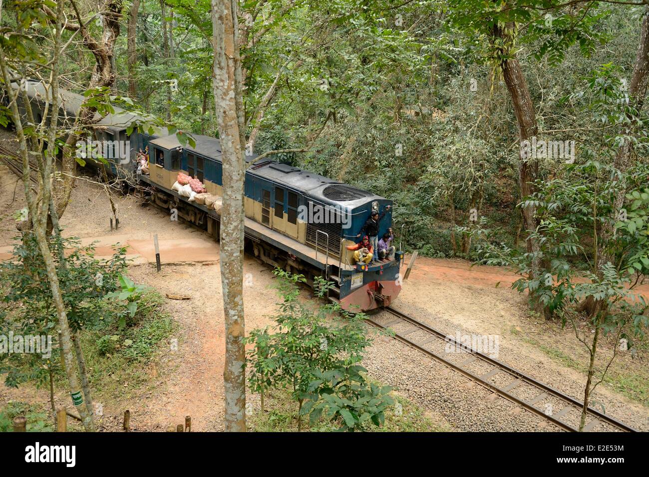 Bangladesh, Sreemangal (ou Srimangal ou Srimongol), the tea capital ...
