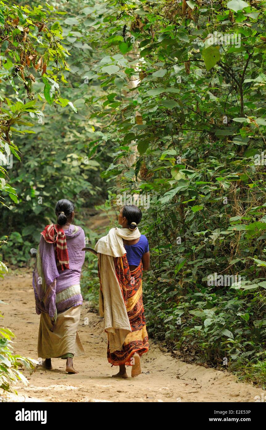Bangladesh Sreemangal (ou Srimangal ou Srimongol) the tea capital 2 ...