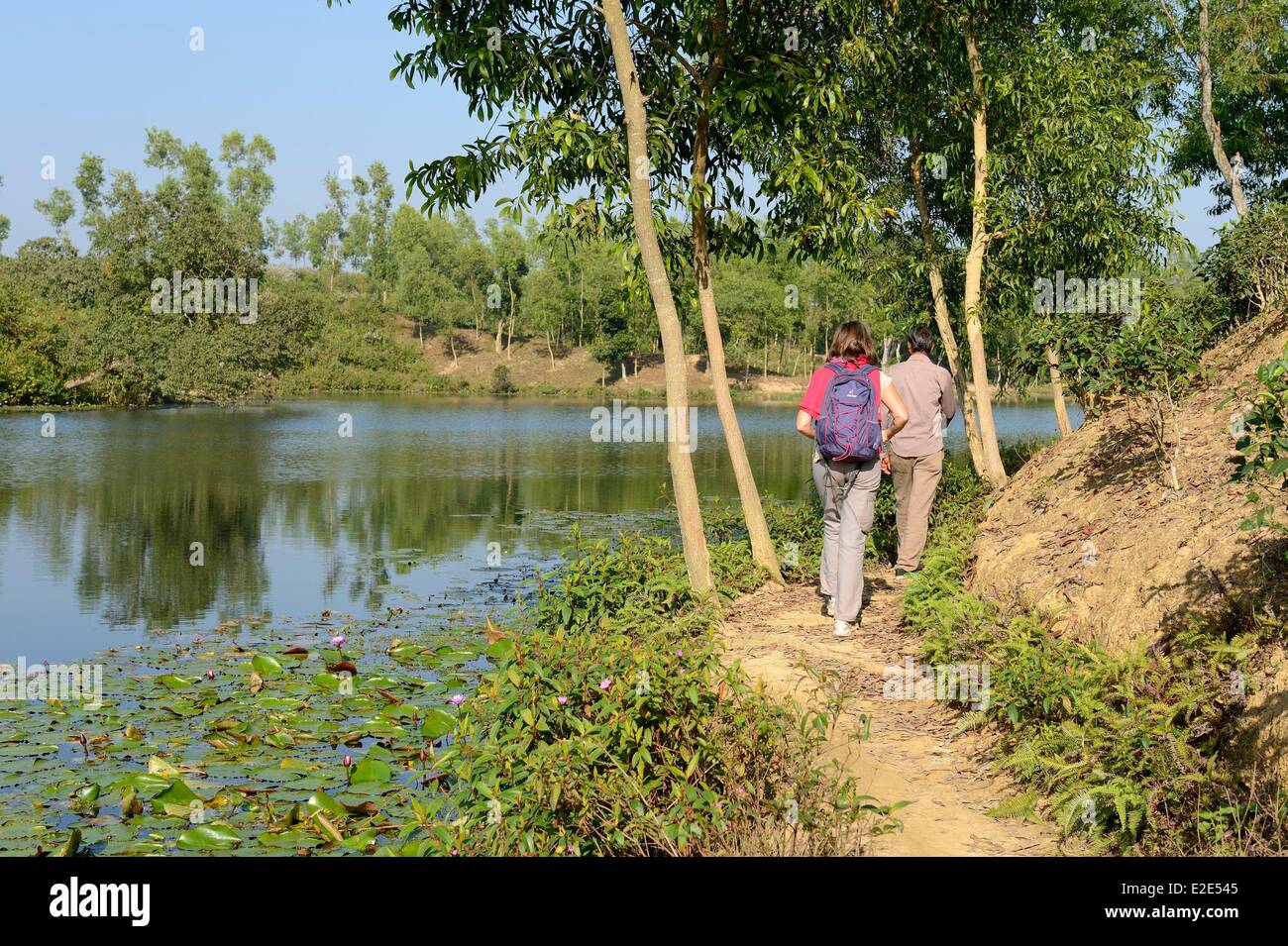 Bangladesh Sreemangal (ou Srimangal ou Srimongol) the tea capital is a ...
