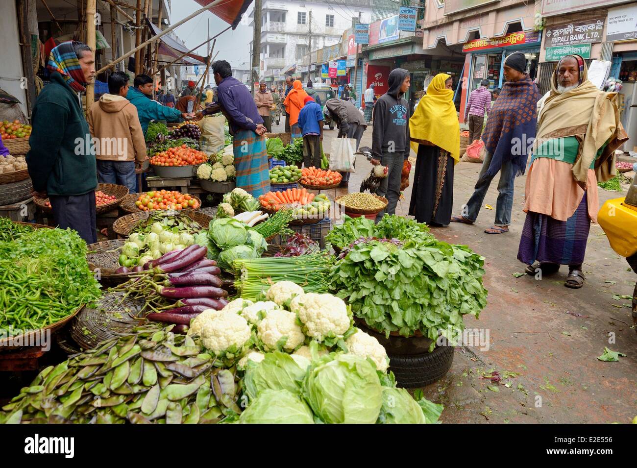 Bangladesh, Sreemangal (ou Srimangal ou Srimongol), the tea capital, is ...