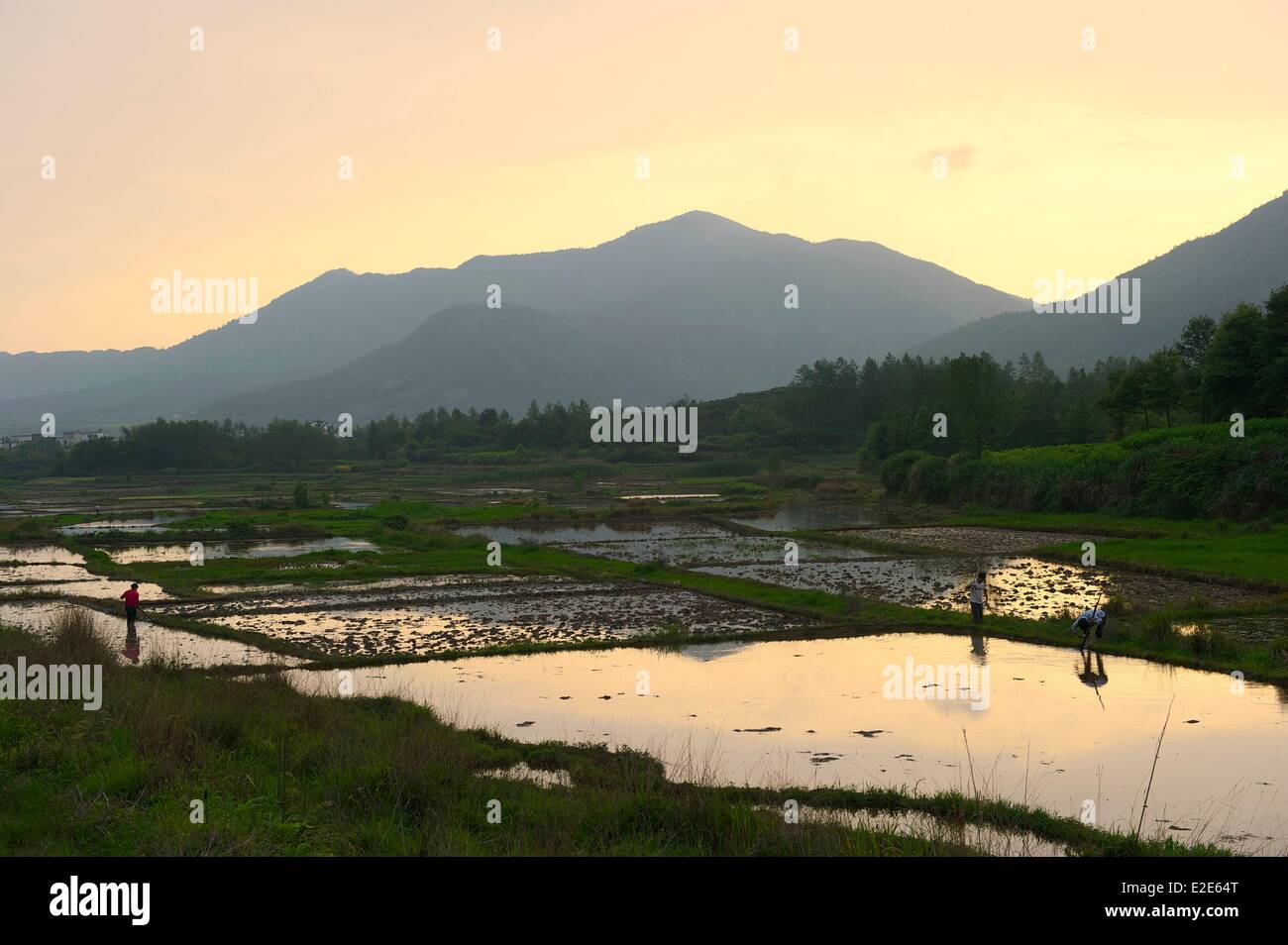 Bishan china hi-res stock photography and images - Alamy