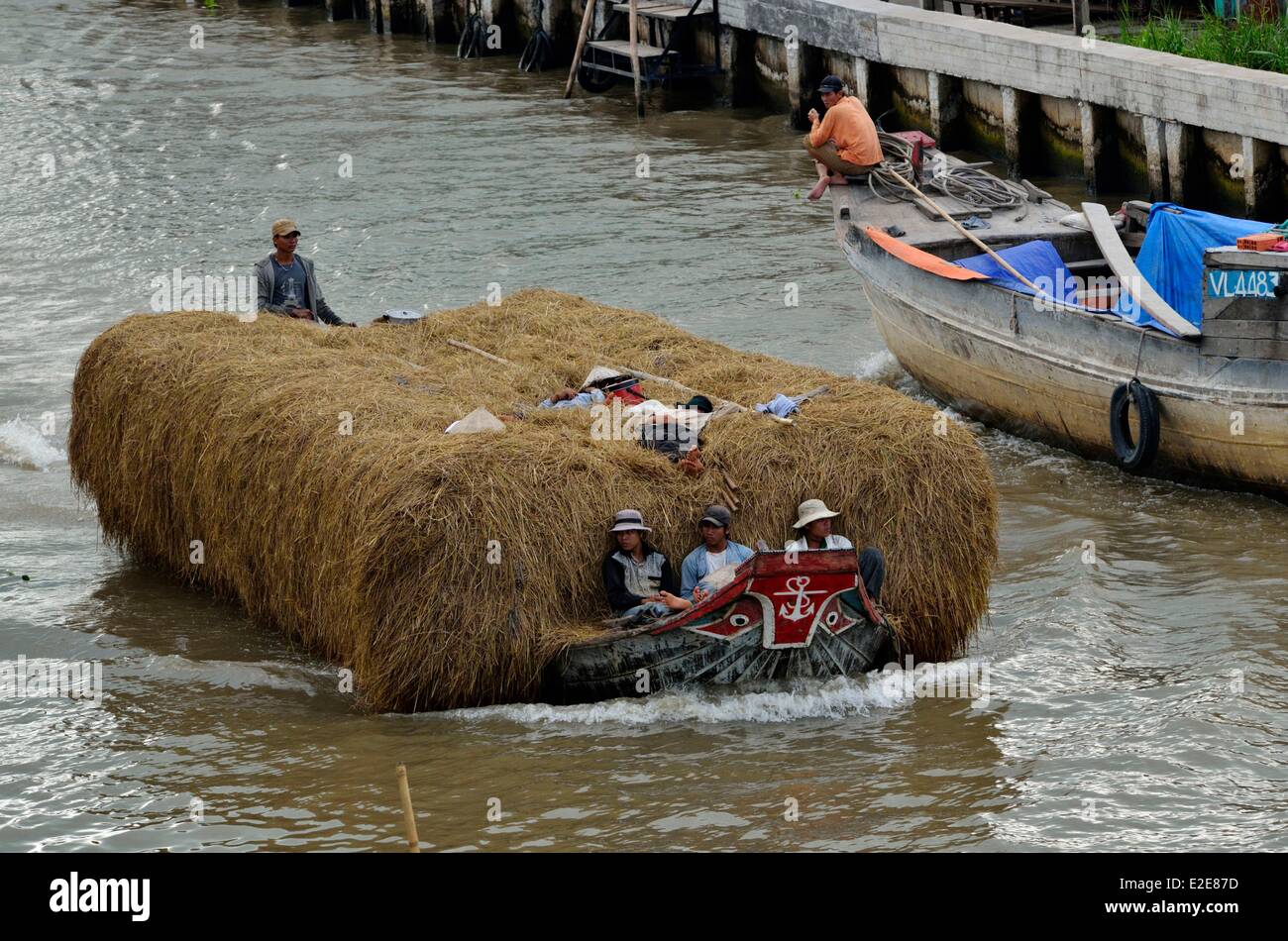 Vietnam, Soc Trang province, Mekong delta, Soc Trang, transporting rice ...