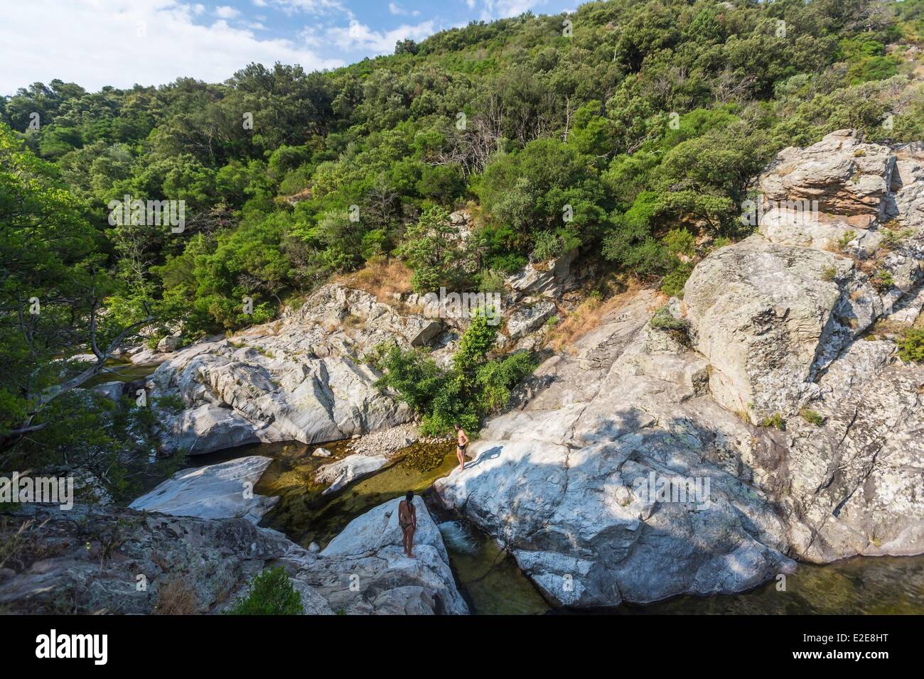 France, Pyrenees Orientales, Argeles sur Mer, the coastal river and the ...