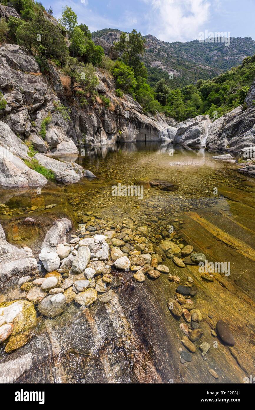 France, Pyrenees Orientales, Argeles sur Mer, the coastal river and the ...