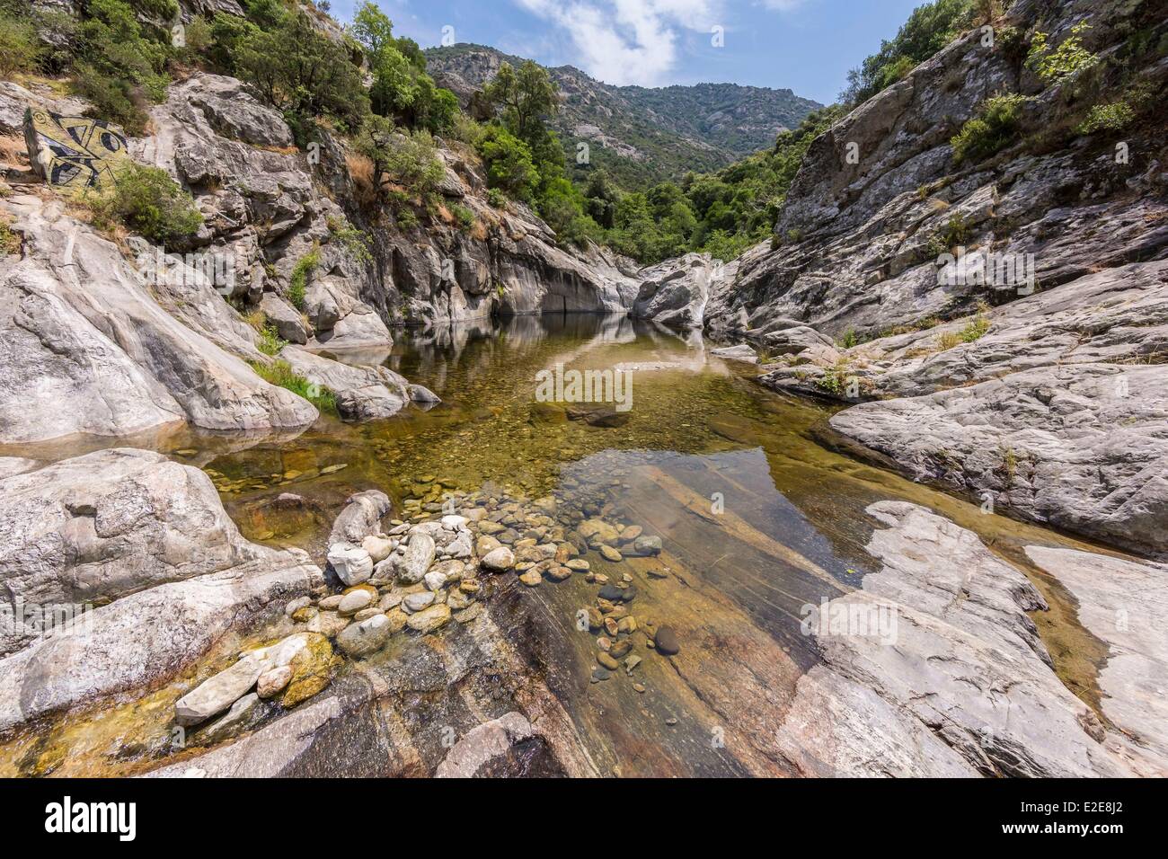 France, Pyrenees Orientales, Argeles sur Mer, the coastal river and the ...