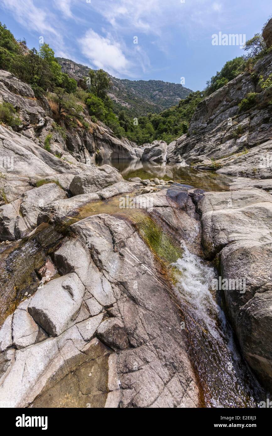 France, Pyrenees Orientales, Argeles sur Mer, the coastal river and the ...
