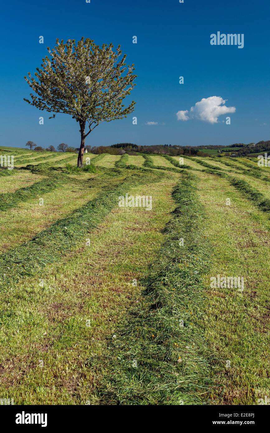Saint angel puy dome hi-res stock photography and images - Alamy