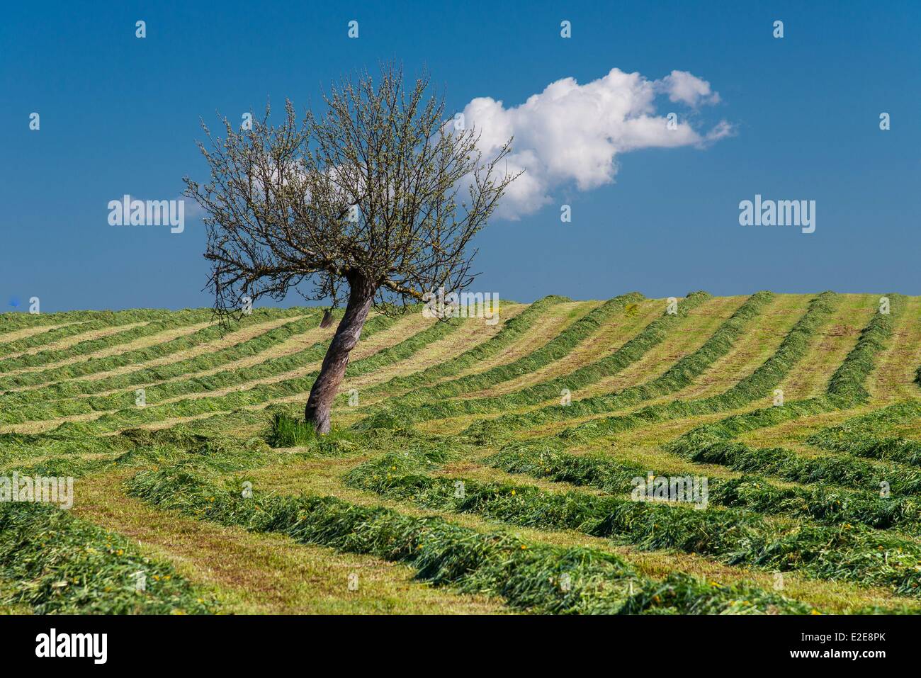Saint angel puy dome hi-res stock photography and images - Alamy