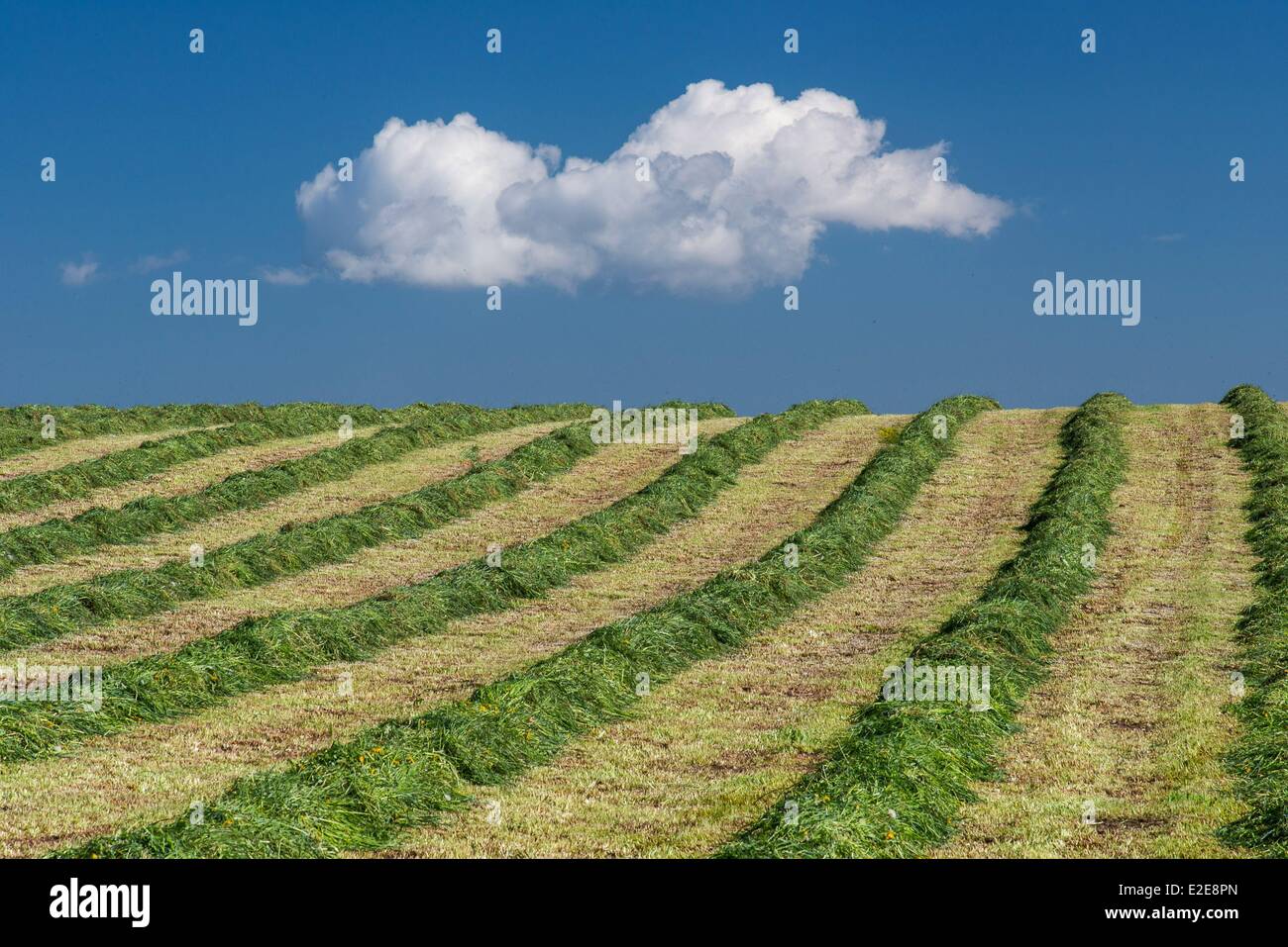 Saint angel hi-res stock photography and images - Alamy
