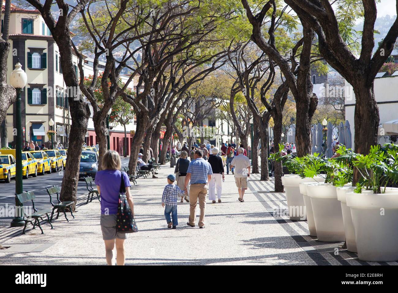 Portugal, Madeira island, Funchal, down town Stock Photo - Alamy