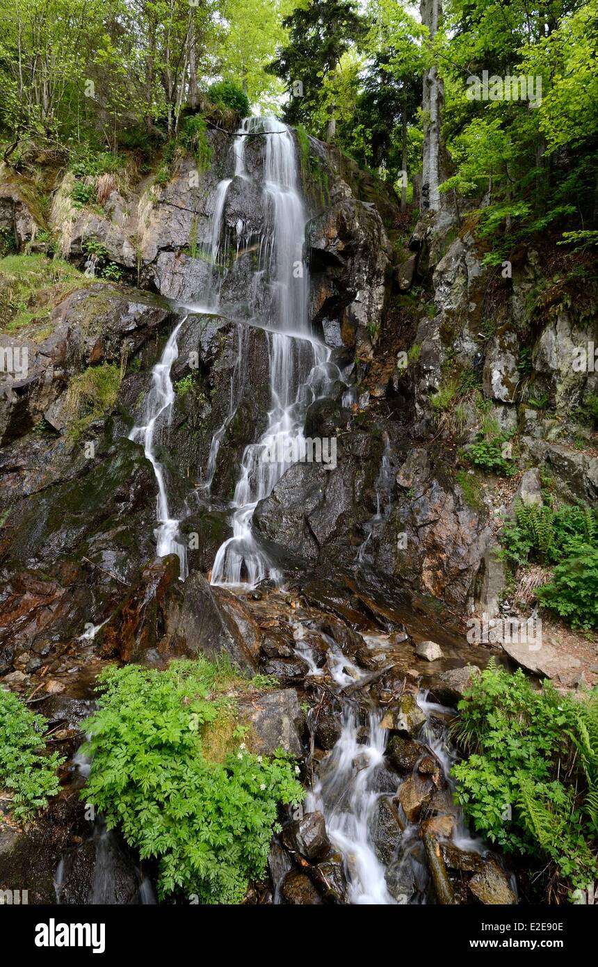 France, Bas Rhin, Le Hohwald, the Andlau waterfall below the Champ du ...