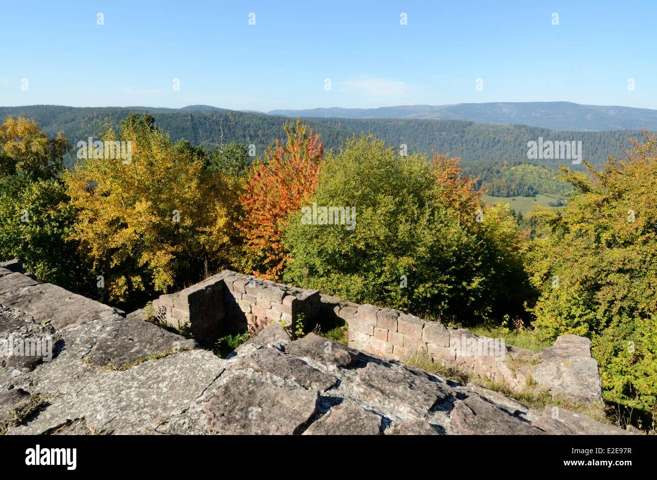 France, Haut Rhin, above Labaroche, Hohnack castle ruin Stock Photo - Alamy