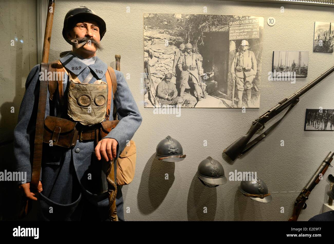 France, Haut Rhin, Hautes Vosges, above Orbey, col du Linge ...