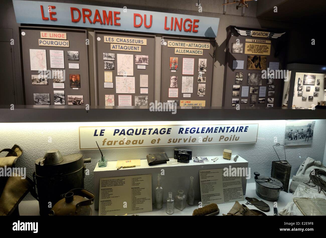 France, Haut Rhin, Hautes Vosges, above Orbey, col du Linge ...