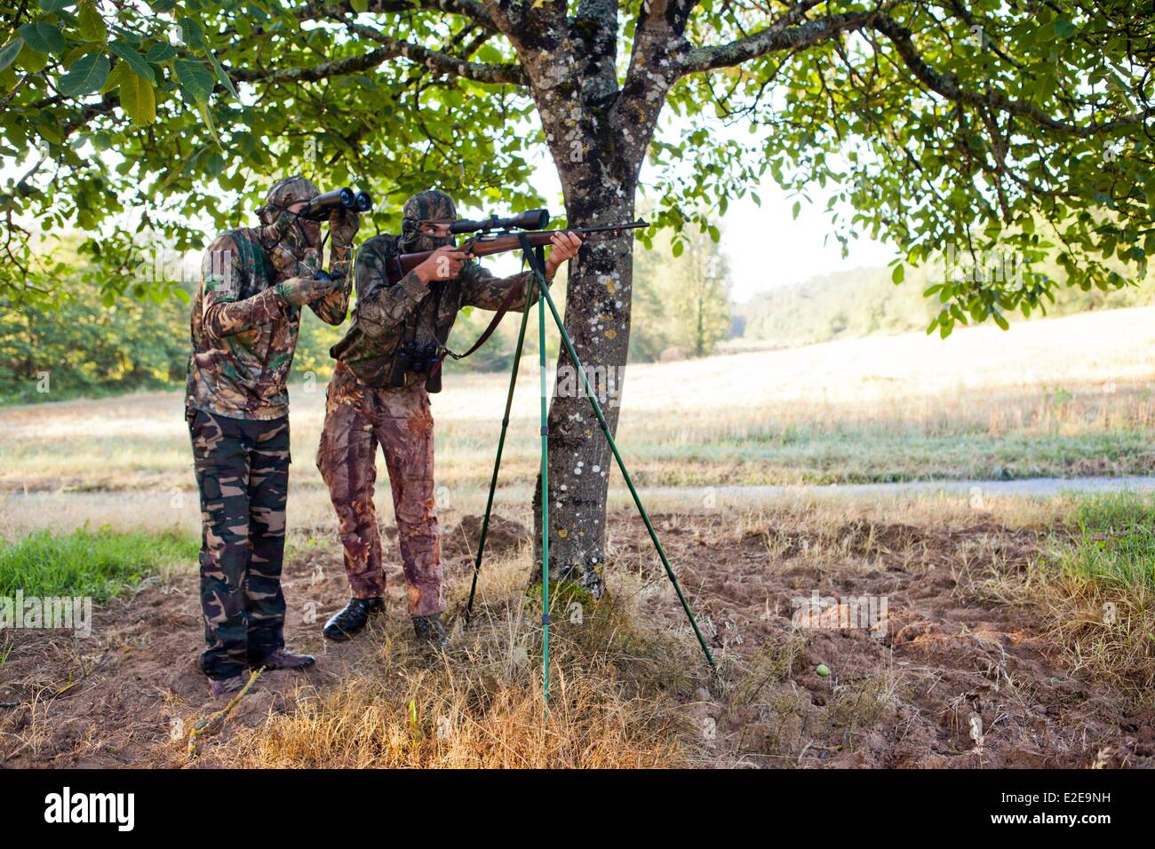 France, Lot, deer hunting Stock Photo - Alamy
