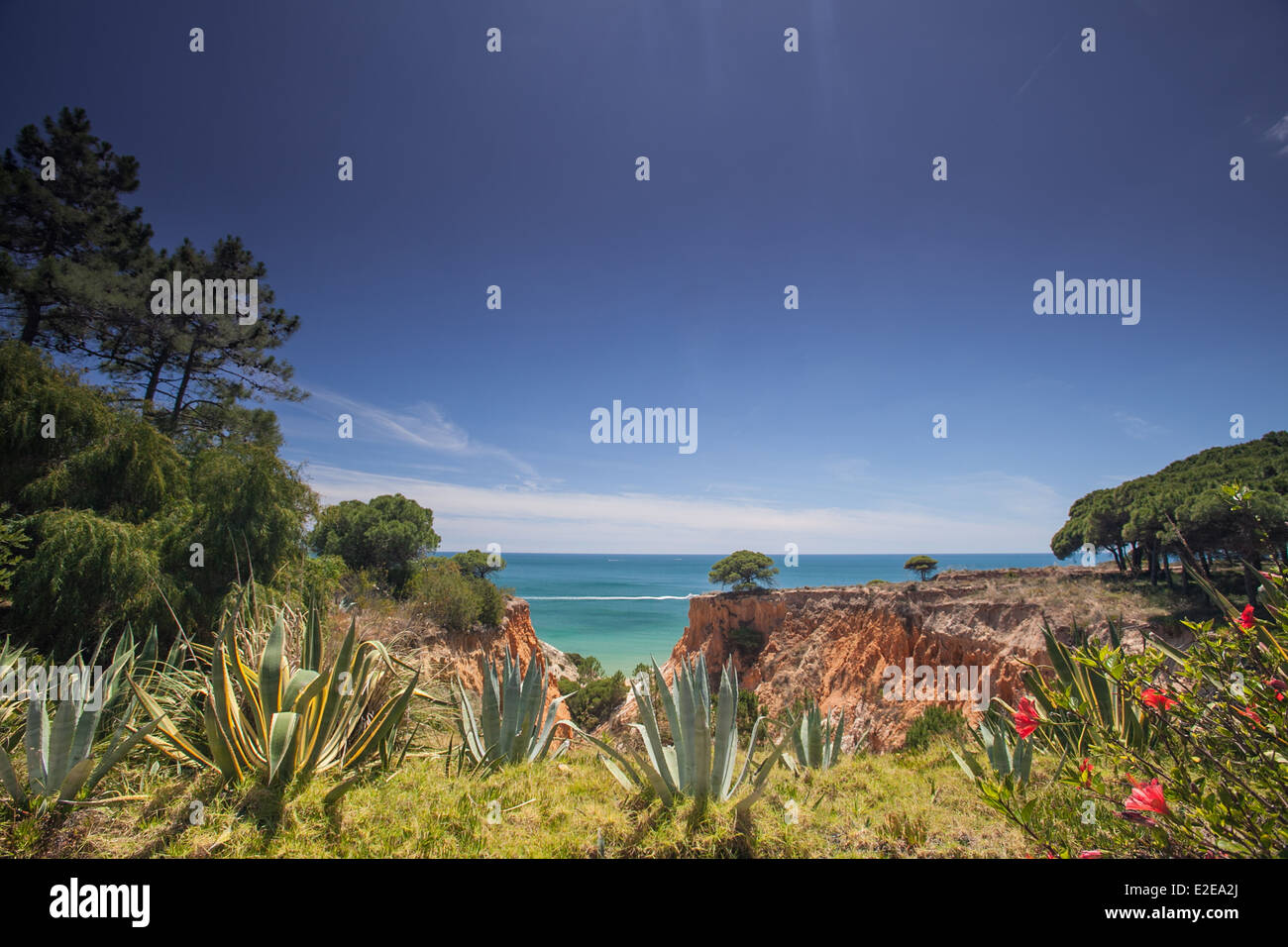 Algarve scenic garden hi-res stock photography and images - Alamy