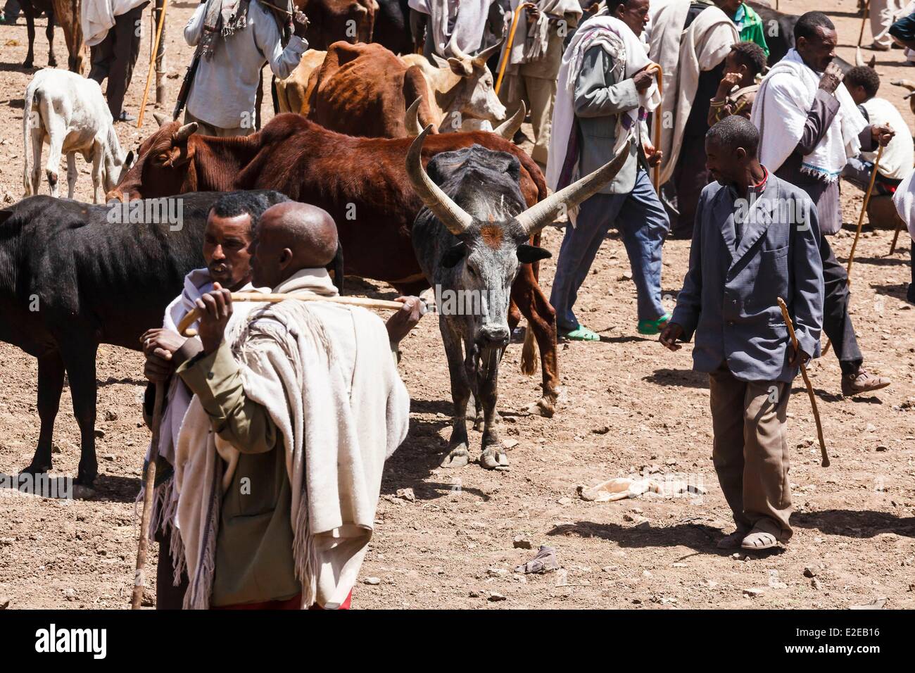 Ethiopia tigray region maychew ethiopia hi-res stock photography and ...