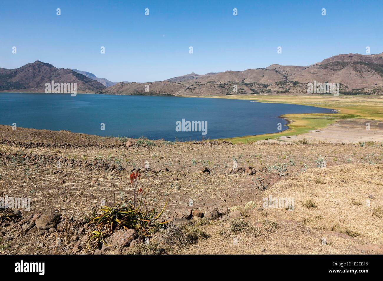 Ethiopia tigray region maychew ethiopia hi-res stock photography and ...