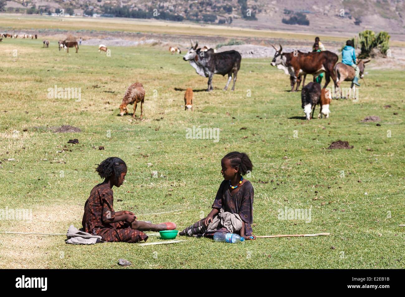 Ethiopia, Tigray region, Maychew, young shepherds on the banks of the ...