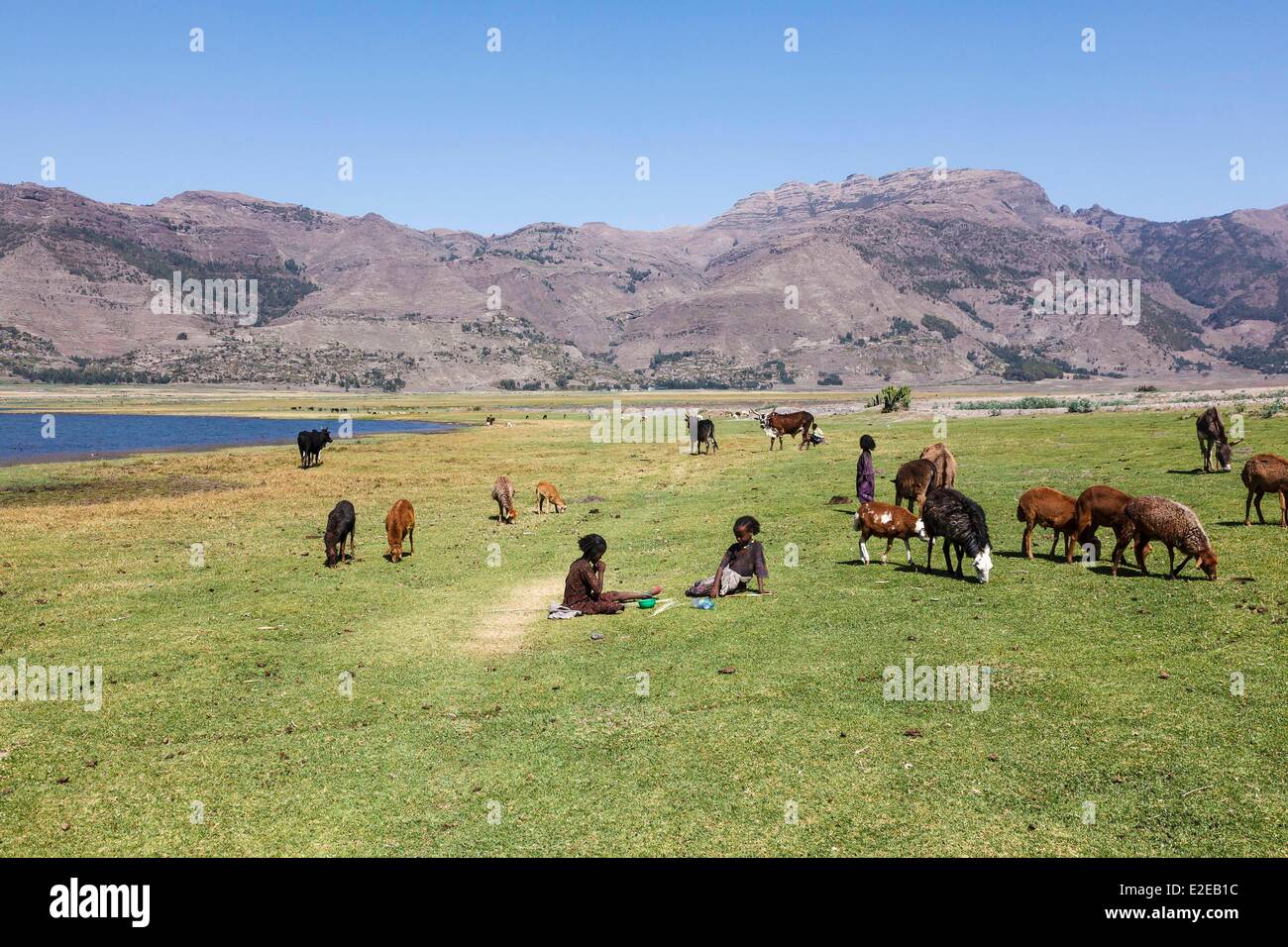 Ethiopia tigray region maychew ethiopia hi-res stock photography and ...