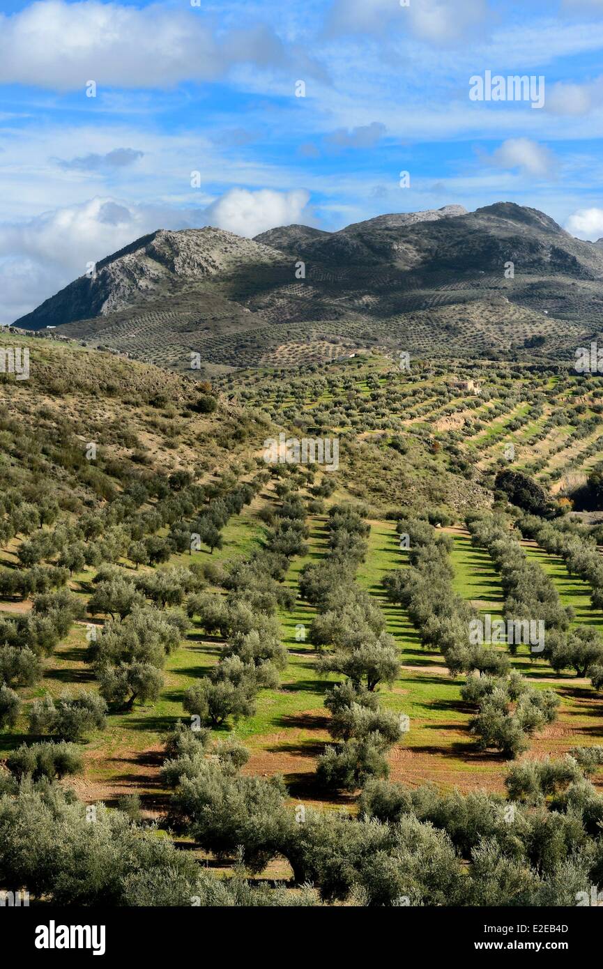 Martos Spain High Resolution Stock Photography and Images - Alamy