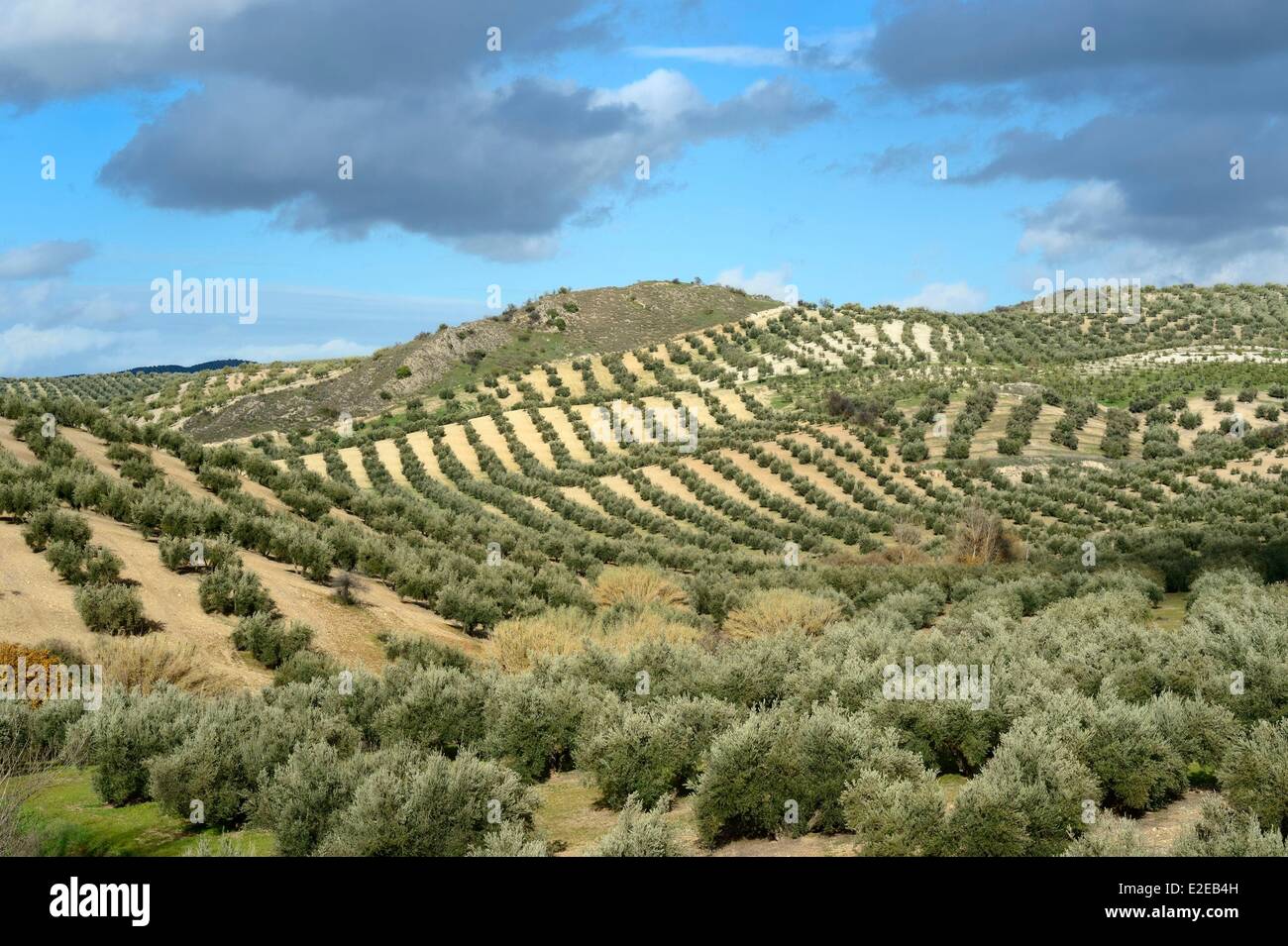 Martos hi-res stock photography and images - Alamy