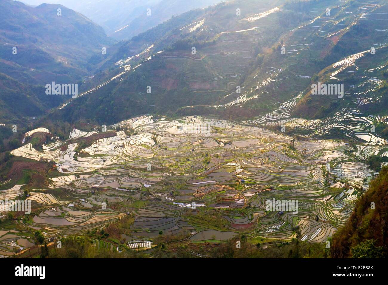 China Yunnan province Yuanyang Cultural Landscape of Honghe Hani Rice ...